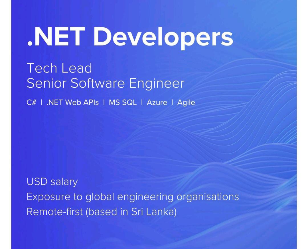.NET Developer - Tech lead / Senior Software Engineer - Jobseeker.lk