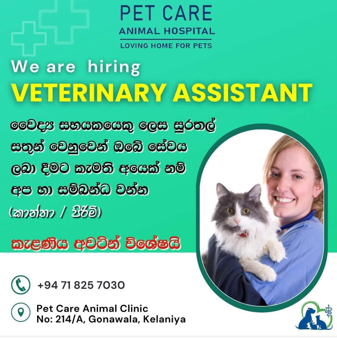 Veterinary Assistant - Jobseeker.lk