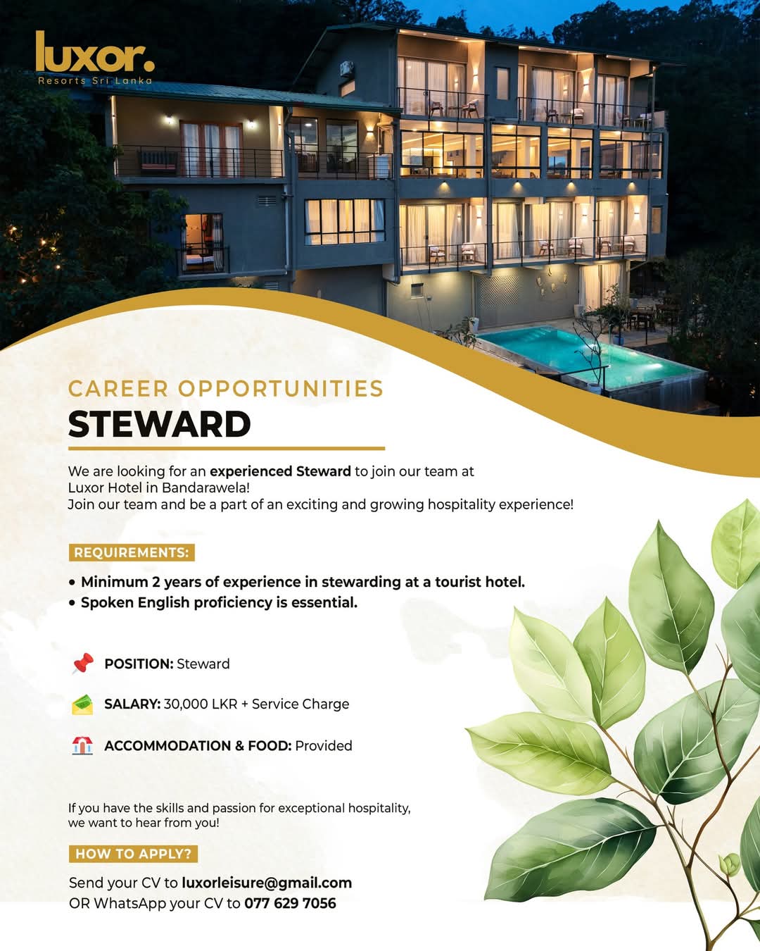 Steward / All-rounder / Room Boy - Jobseeker.lk