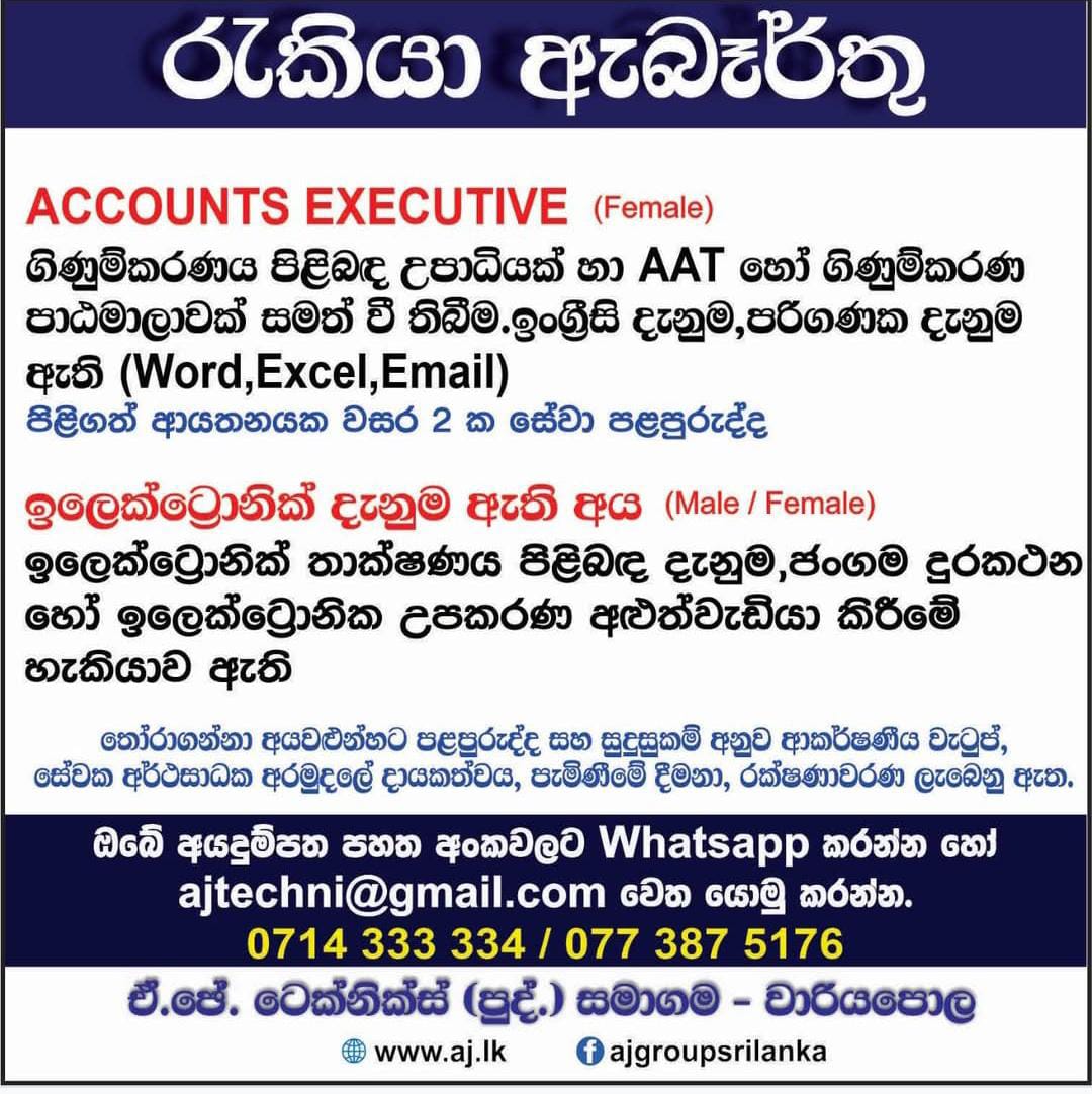 Accounts Executive / Electronic Technician - Jobseeker.lk