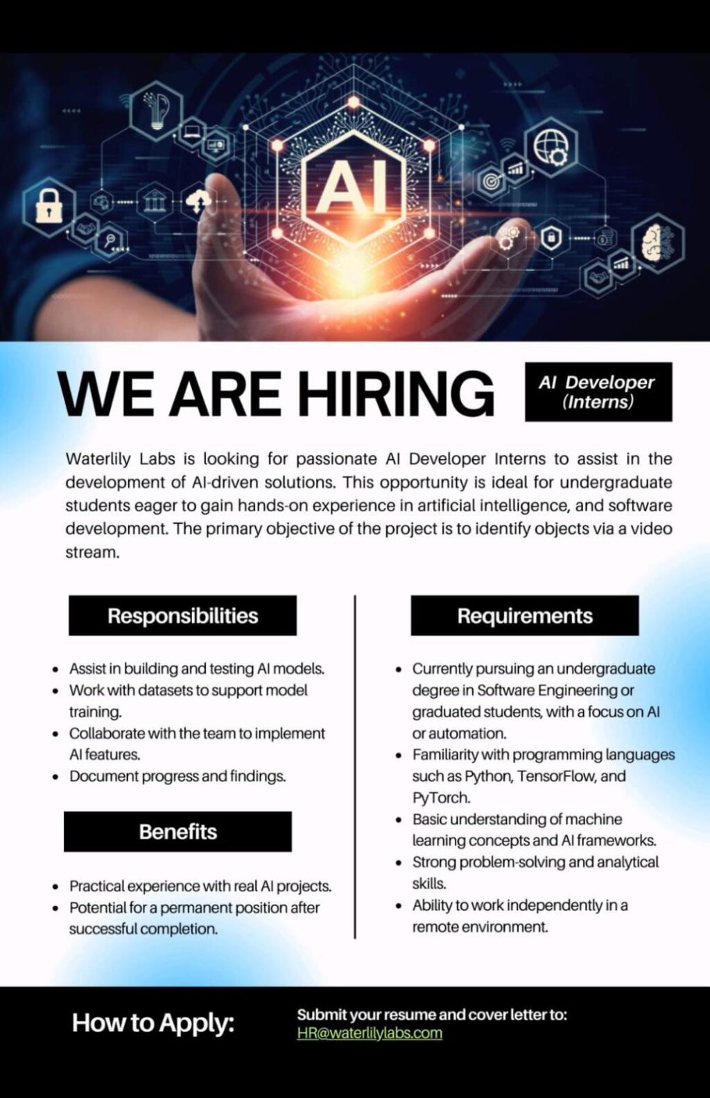 AI Developer Internship - Jobseeker.lk