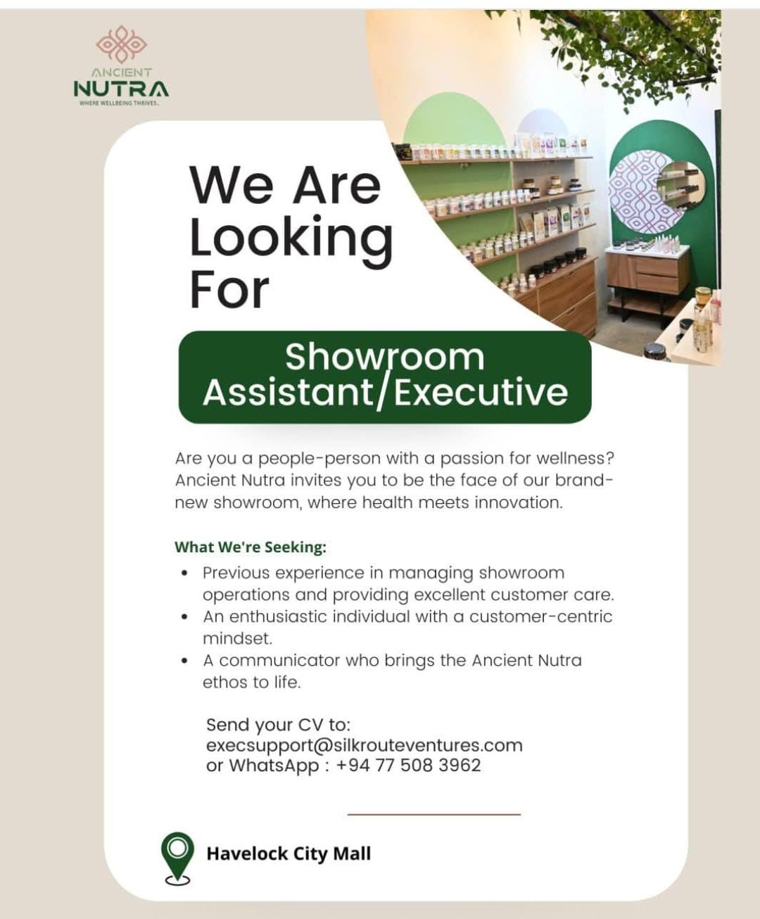 Showroom Assistant/ Executive - Jobseeker.lk