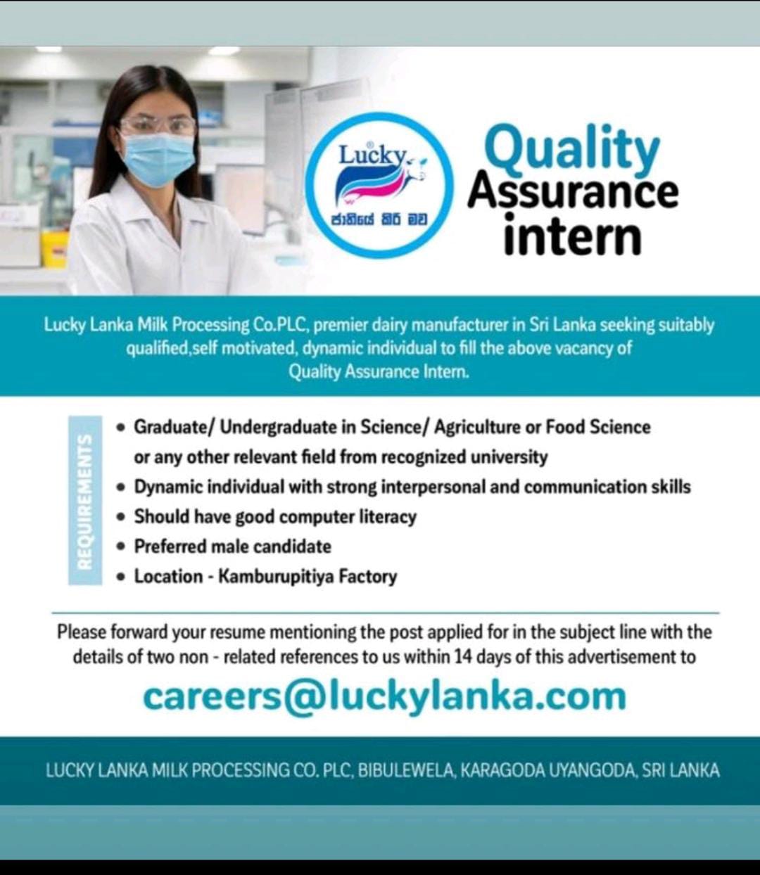 Quality Assurance Internship - Jobseeker.lk