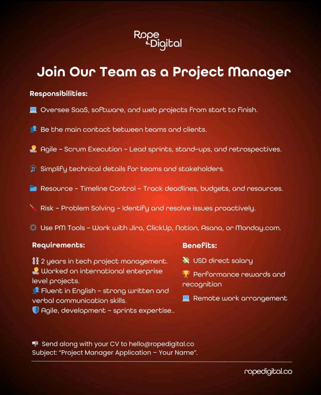 Project Manager Remote - Jobseeker.lk