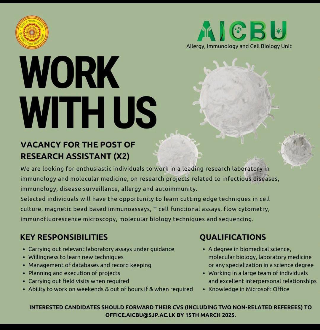 Research Assistant - Jobseeker.lk