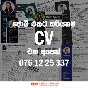 Python Developer Internship - Jobseeker.lk