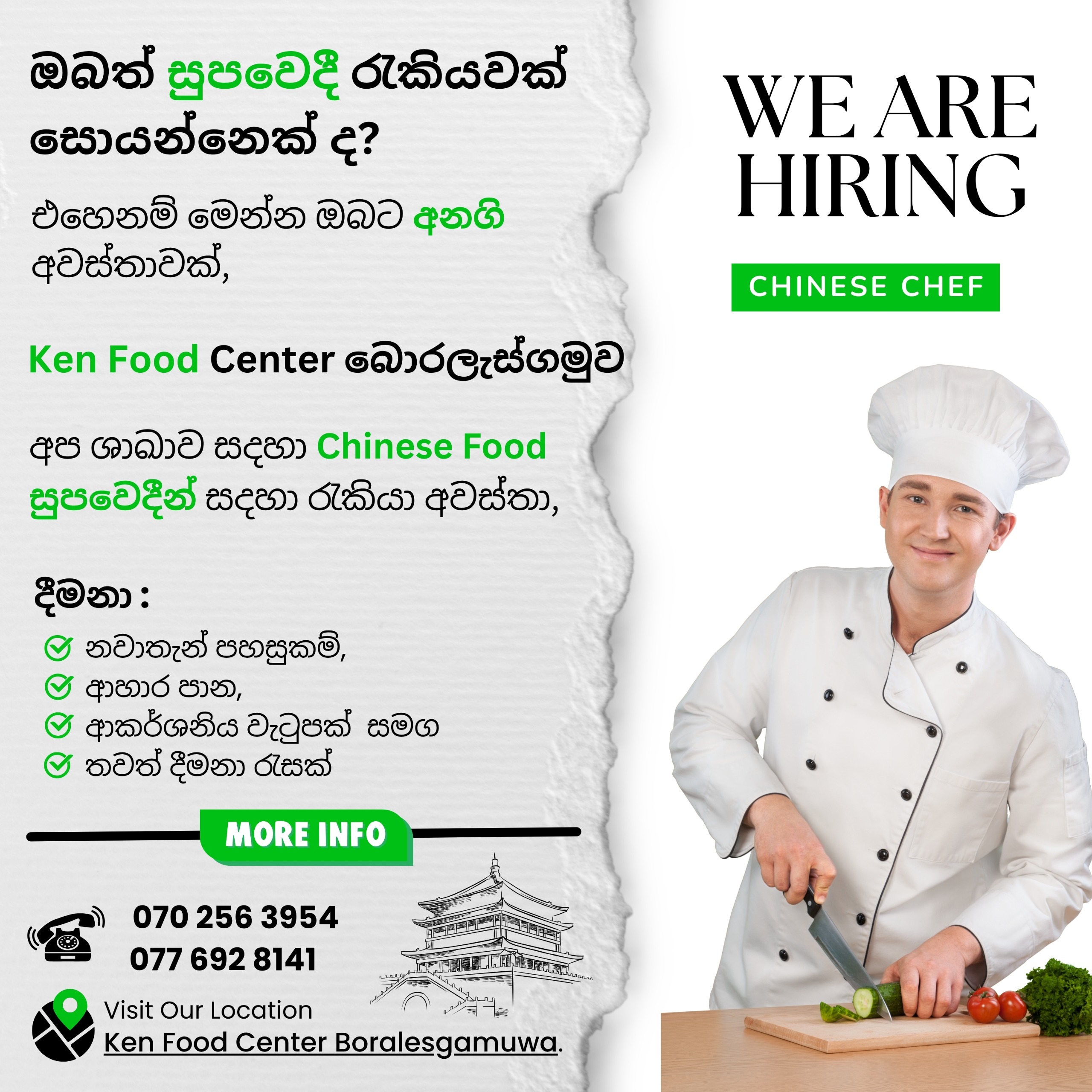 Chinese Chef - Jobseeker.lk
