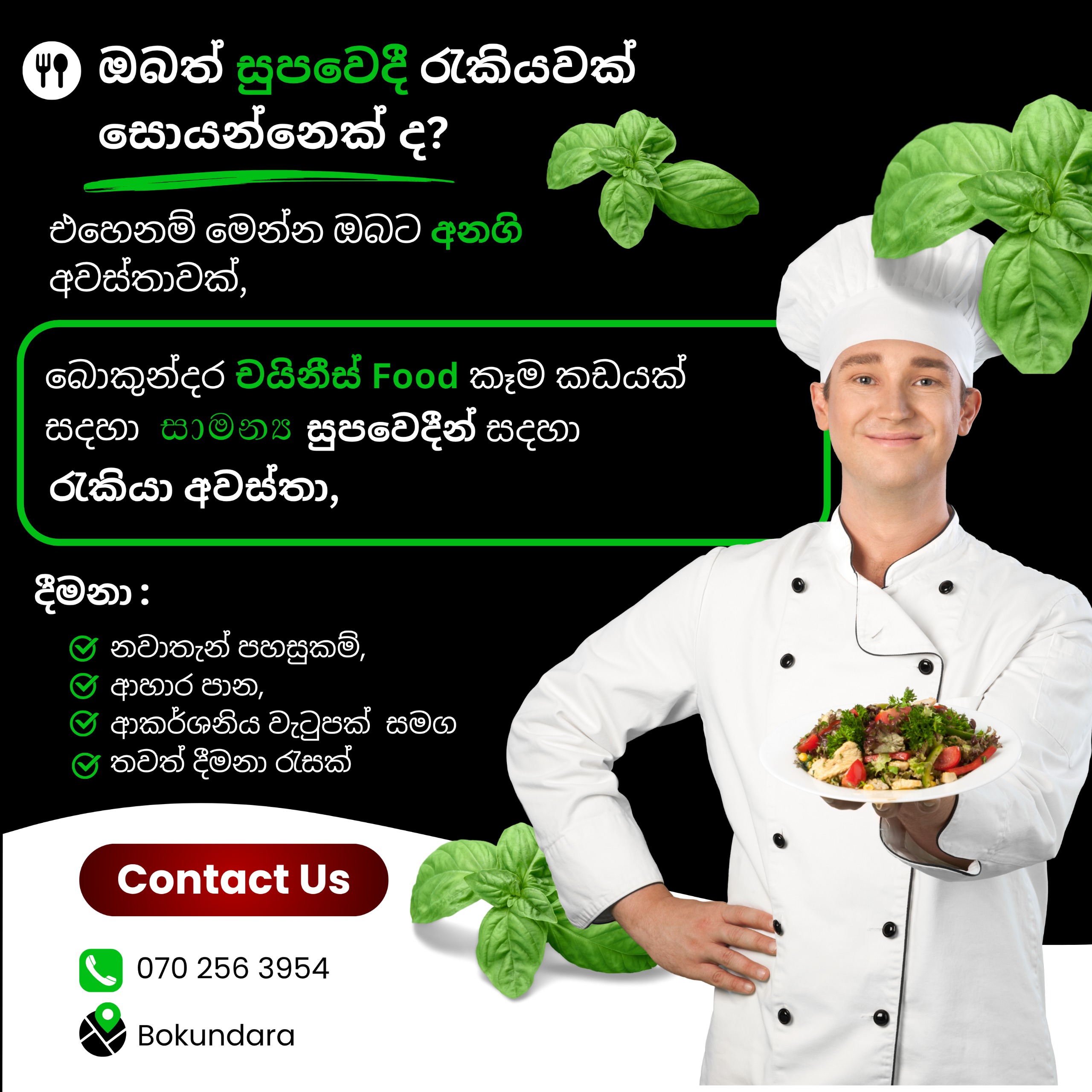 Chinese Chef - Jobseeker.lk