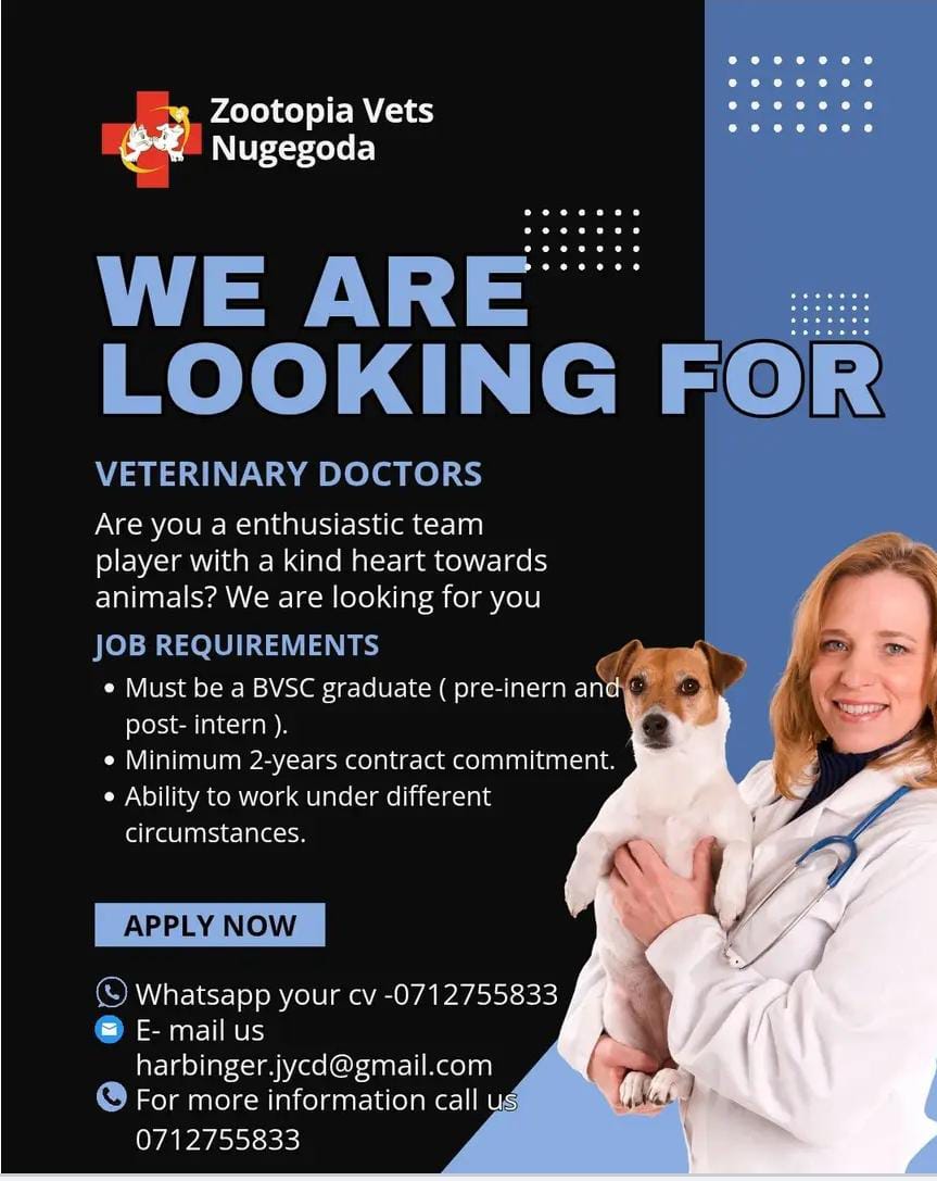 Veterinary Doctor - Jobseeker.lk