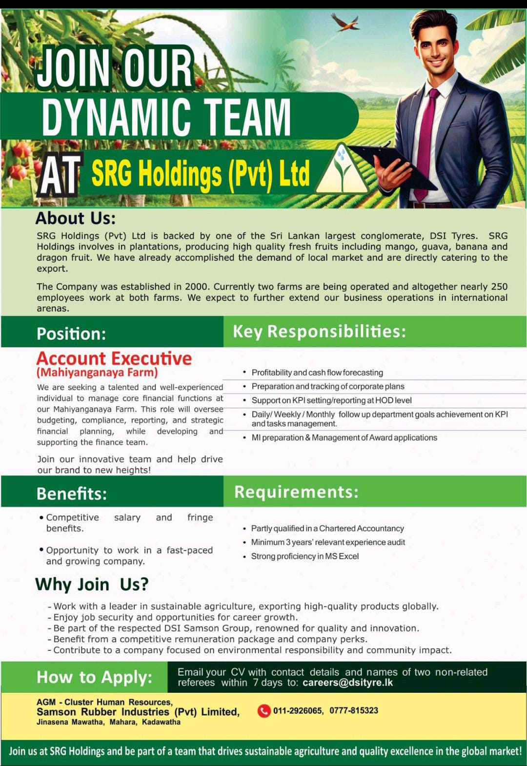 Accounts Executive - Jobseeker.lk