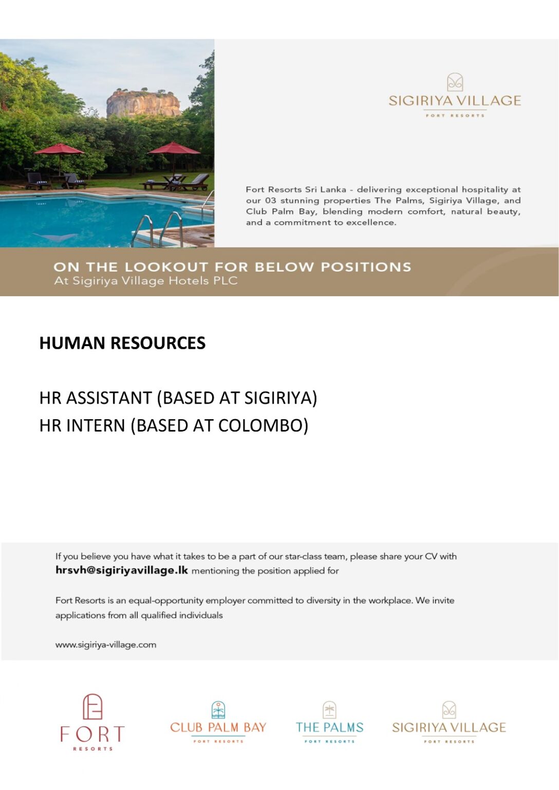 Internship Archives - Jobseeker.lk