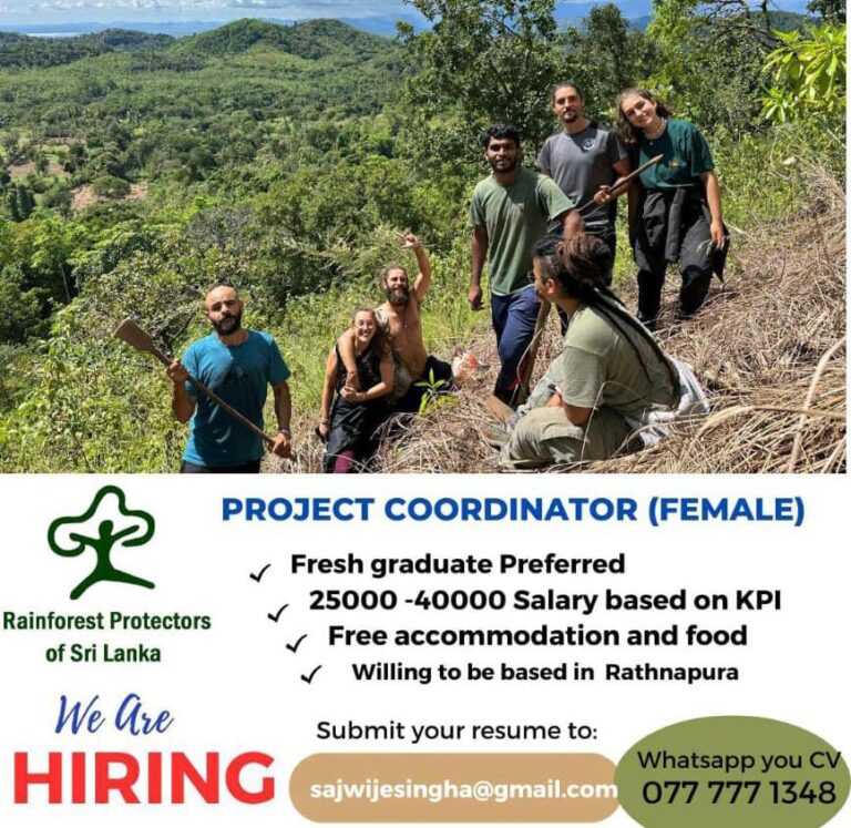 Internship Archives - Jobseeker.lk