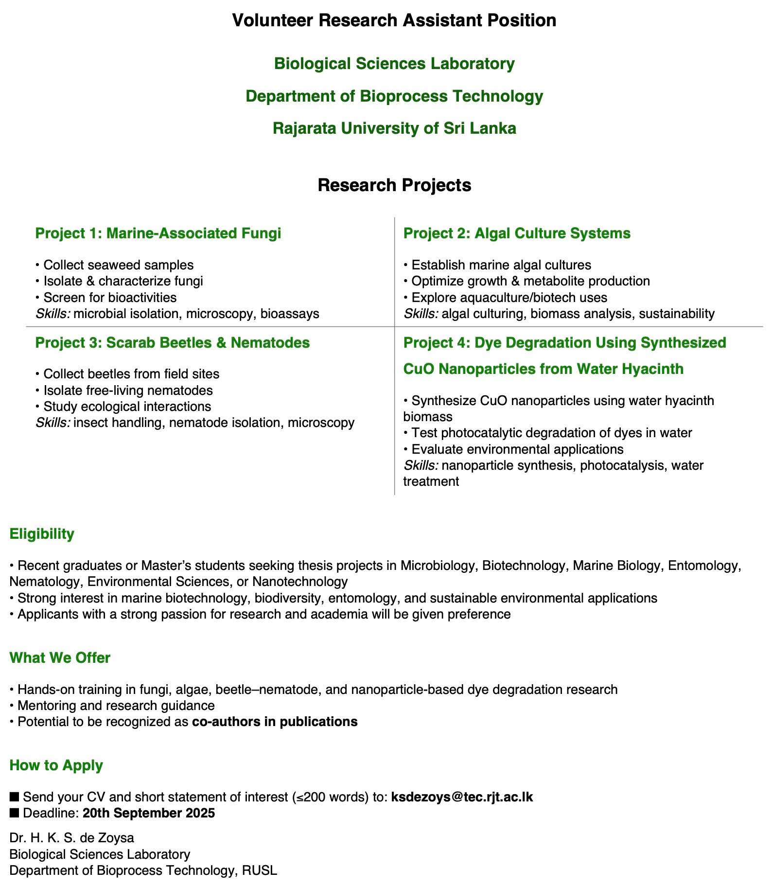 Volunteer Research Assistant Jobseeker Lk