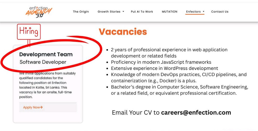 Software Developer - Jobseeker.lk