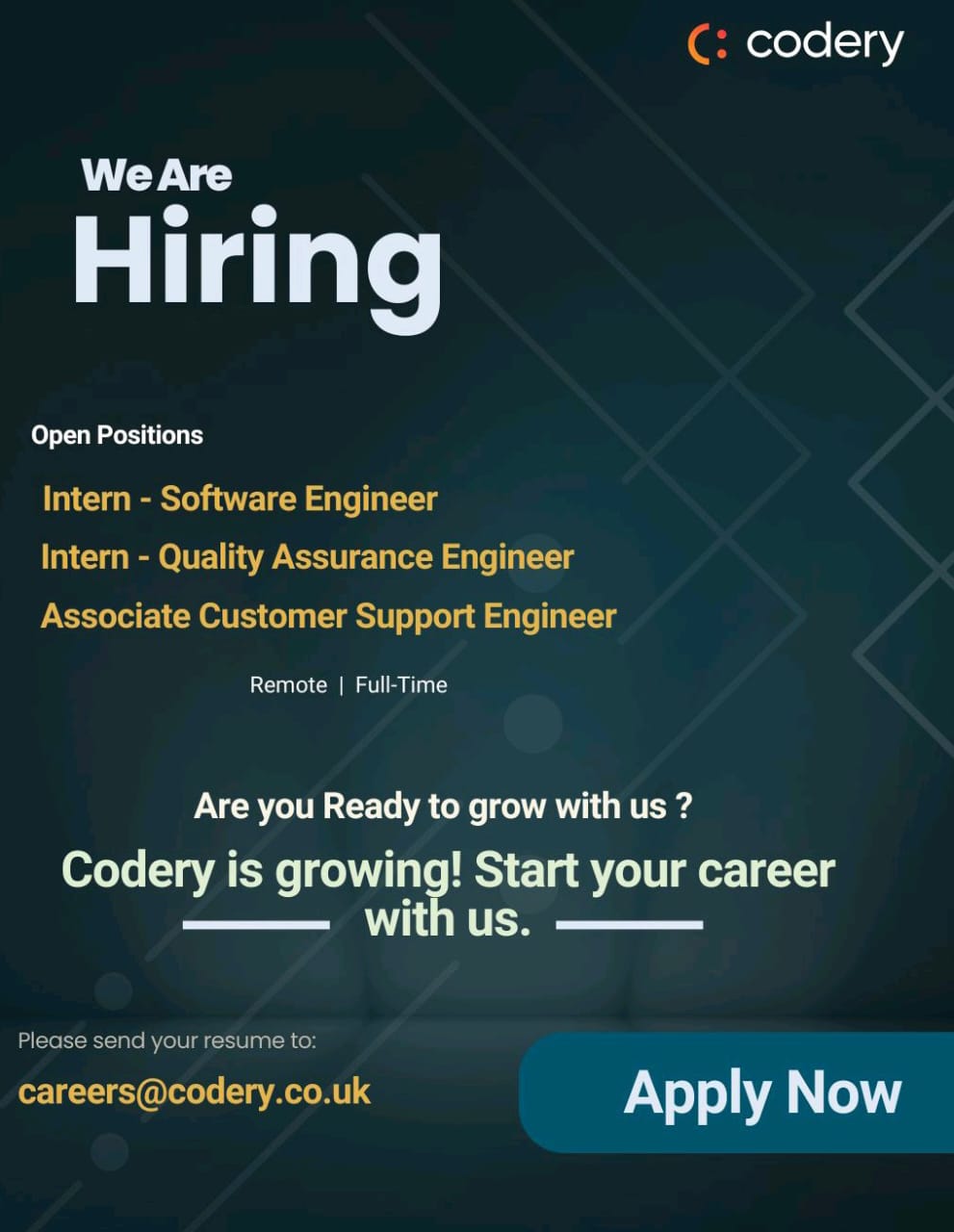 Associate Customer Support Engineer/ Internship - SE/ QAE - Jobseeker.lk