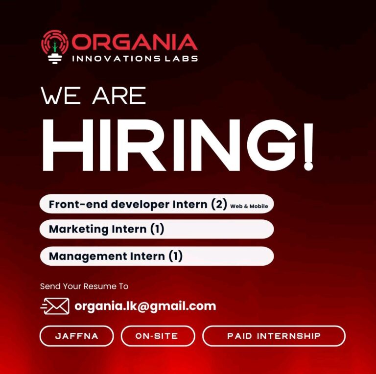 Internship - Frontend Developer/ Marketing / Management - Jobseeker.lk