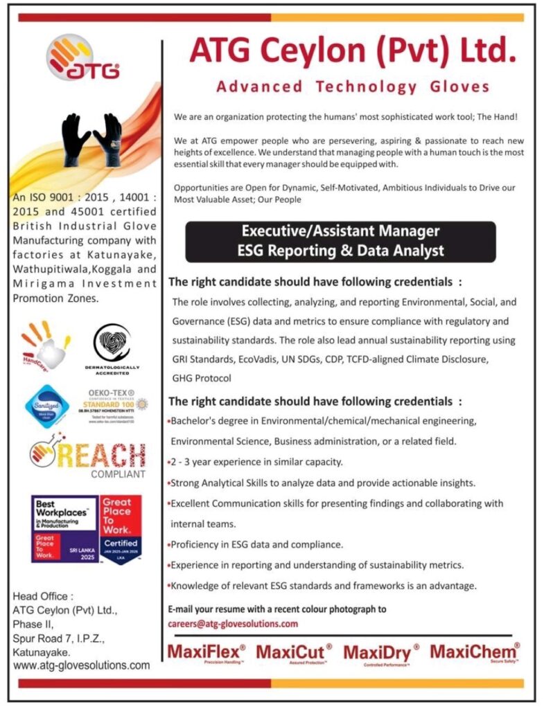 Executive/Assistant Manager - ESG Reporting & Data Analyst - Jobseeker.lk